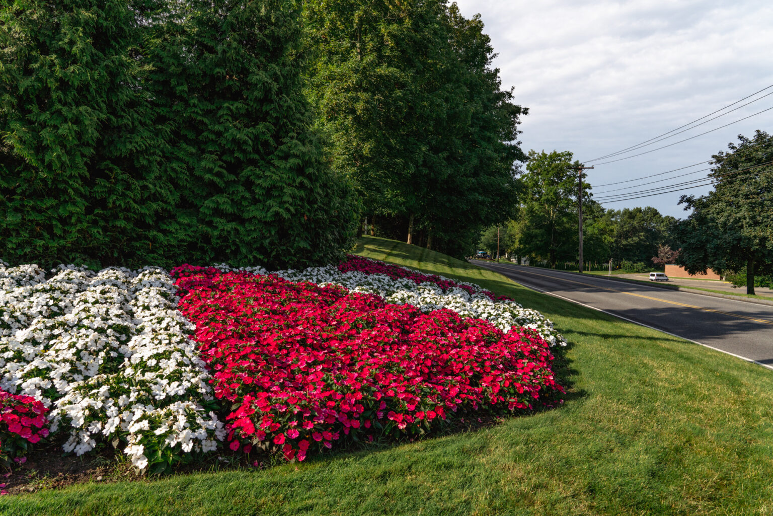 Get Inspired! - SunPatiens