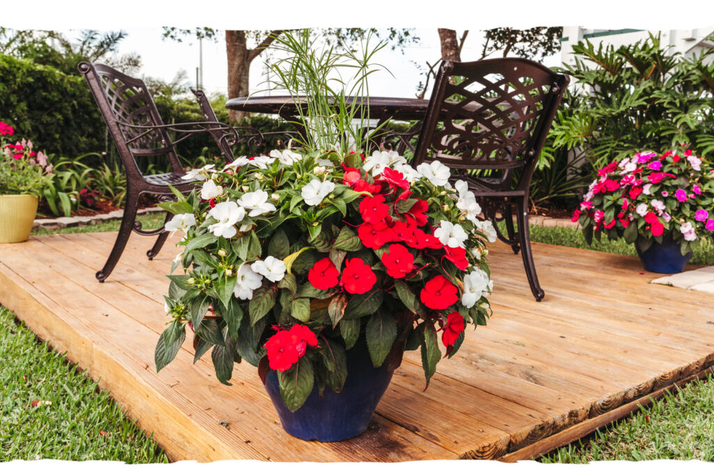 Get Inspired! - SunPatiens